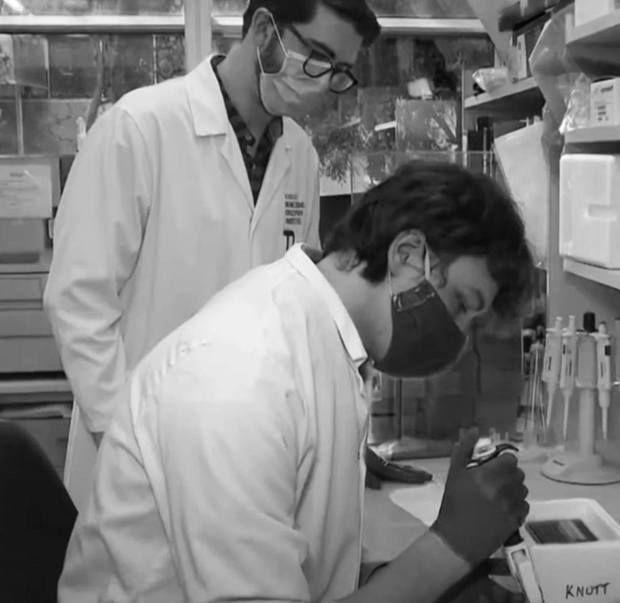 Our projects — Knott Lab